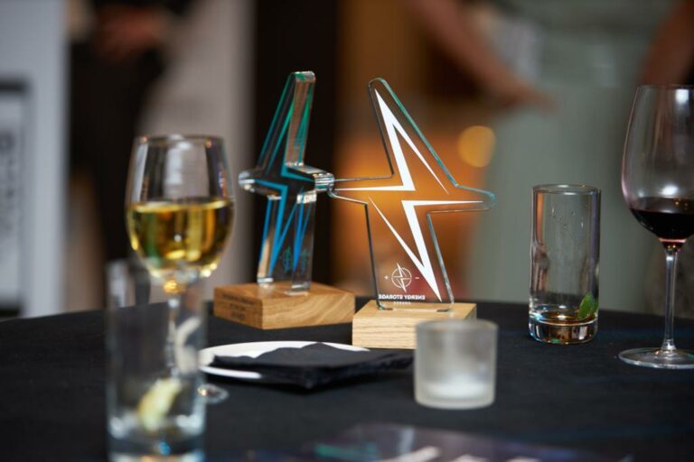 Energy Storage Awards 2023: Winners revealed as industry celebrates on ...