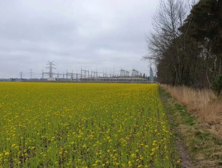 Giga Storage acquires 1.4GWh battery storage system in Germany - Energy ...