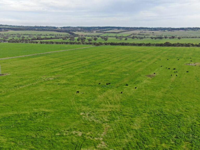 FRV Australia reaches financial close on 500MWh grid-forming BESS ...
