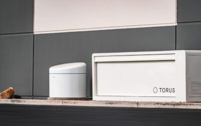 Off Grid Archives - Energy-Storage.News